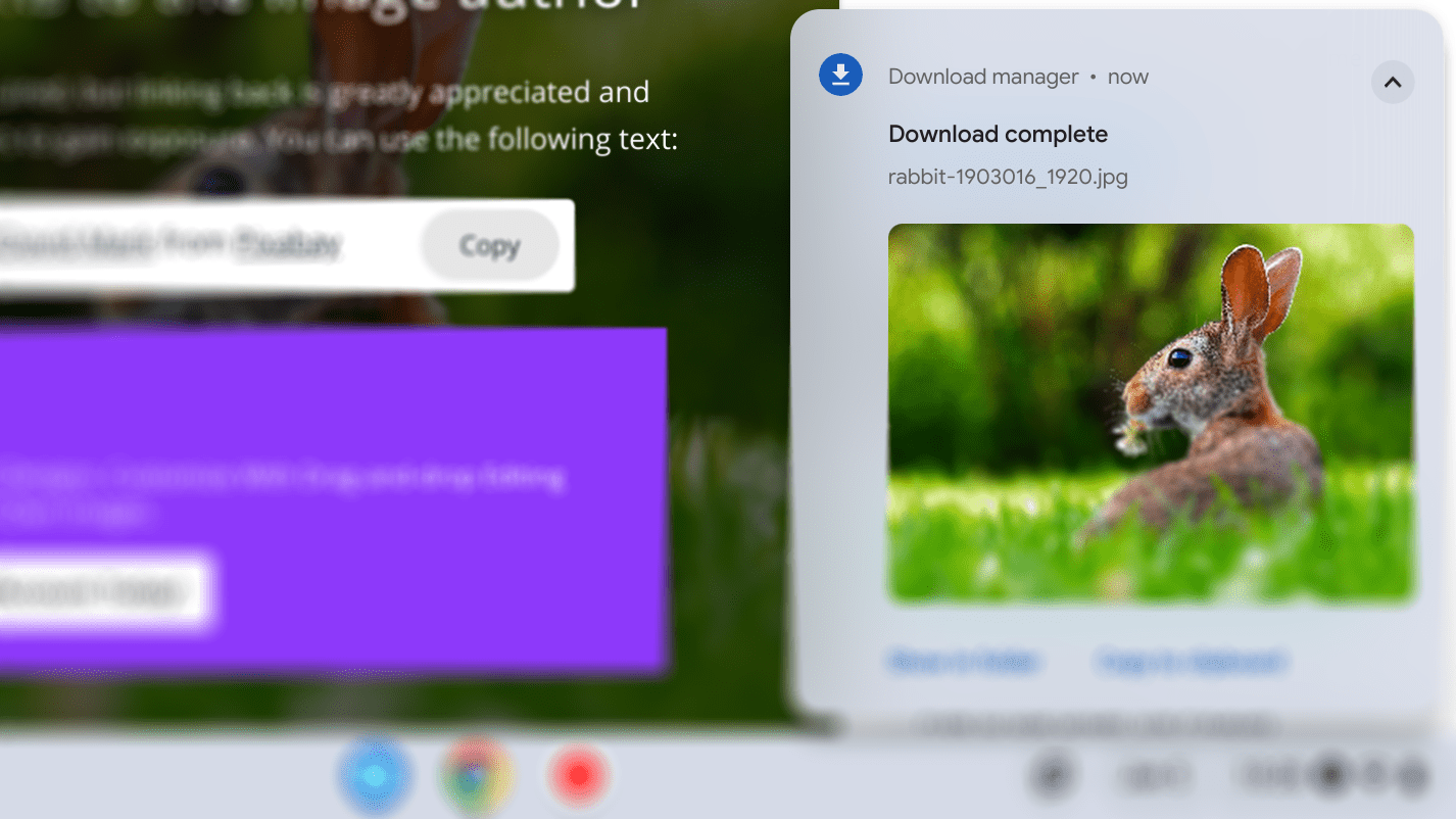 How To Open Downloaded Files On My Chromebook 